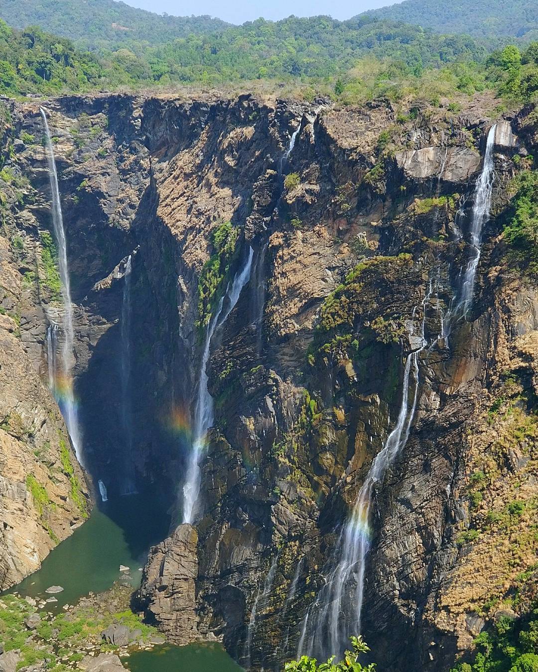 Which Is The Highest Waterfall In India Know All Details Which Is The Highest Waterfall In India Know All Details